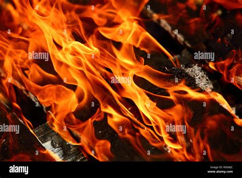 Fire Is A Phenomenon Of Nature That Turns All Flammable Materials Into