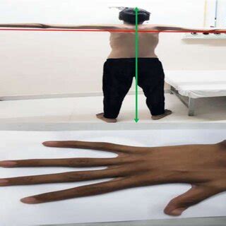 A Arm Span To Height Ratio 1 07 Height 184cm Arm Span 198cm B Download Scientific Diagram