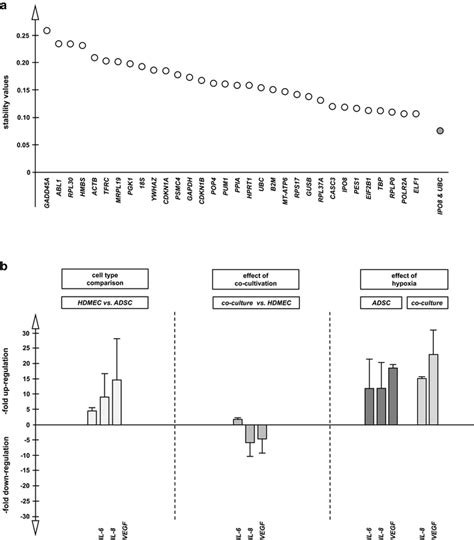 Gene Expression Analysis Identification Of The Best Combination Of Download Scientific Diagram