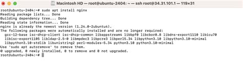 How To Set Up Nginx Server Blocks On Ubuntu 2404 Devtutorial