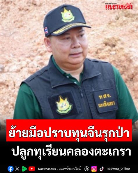 Naewnanews ย้ายผอ ทสจ ฉะเชิงเทรา มือปราบทุนจีนรุกป่า ปลูกทุเรียนคลองตะเกรา อ ท่าตะเกียบ ไป