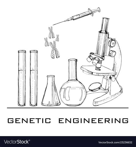 Genetic Engineering Examples Drawing At Jenenge Blog