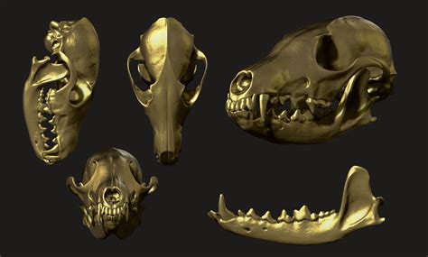 European Fox Skull Vulpes Vulpes Cnc 3d Model 3d Printable Cgtrader