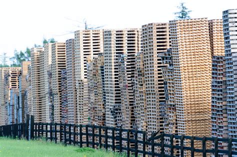 아일랜드의 팔레트 공장에 나무 팔레트가 높이 쌓여 있었다 0명에 대한 스톡 사진 및 기타 이미지 0명 건물 외관 공장 산업 건물 Istock