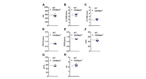 Normal Cardiac Function Parameters After The Double Cthmpst Inhibition