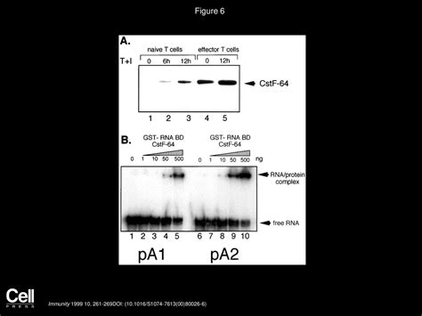 Volume Issue Pages February Ppt Download