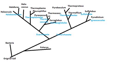Life As We Know It Kingdom Archaebacteria