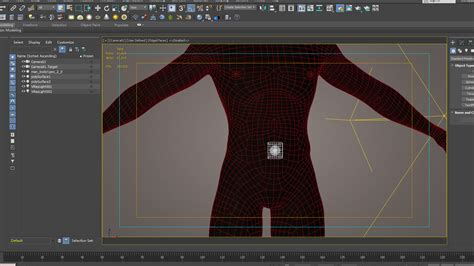 Stomach Patch Magnetic Patch Animation Dissection Medical 3d Model Cgtrader