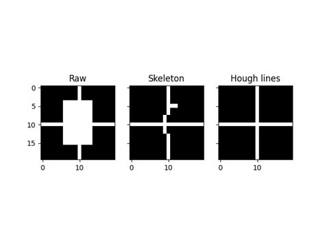 Python Skimage Skeletonize Or Opencv Implementation That Respects A Grid Stack Overflow