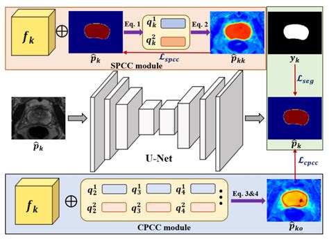 Miccai 2023 Scp Net：半监督医学图像分割新网络 知乎