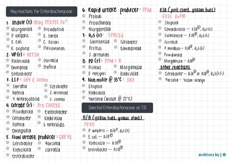 Jey 🦦 On Twitter 💌 Bacte Enterobacteriaceae Tests And Reactions