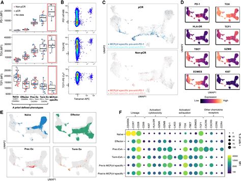 Circulating Cancer Specific Cd8 T Cell Frequency Is Associated With Response To Pd 1 Blockade In