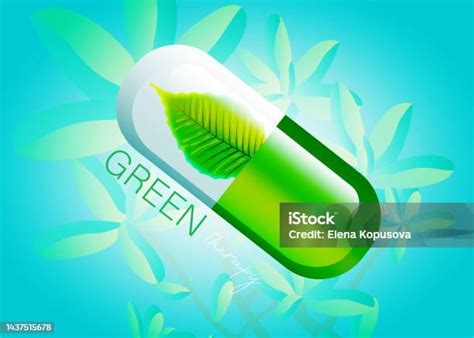 대체 의학의 개념 플랫 스타일의 약초 요법 추상적인 색 배경에 식물이 있는 태블릿을 엽니다 유기농에 대한 스톡 벡터 아트 및