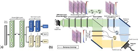 Figure 1 From Multi Task Learning In Diffractive Deep Neural Networks Via Hardware Software Co