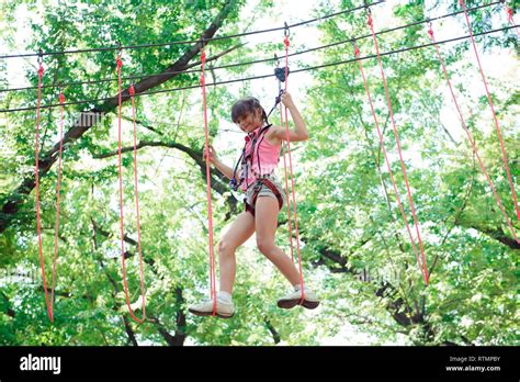 Adventure Climbing High Wire Park Hiking In The Rope Park Girl In Safety Equipment Stock Photo