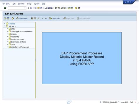 青蛙SAP分享 Froggy s SAP sharing Display Material FIORI APP