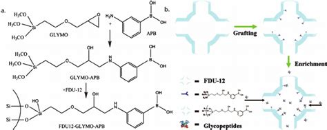 A Post Synthetic Steps Of Ordered Boronic Acid Functionalized Download Scientific Diagram