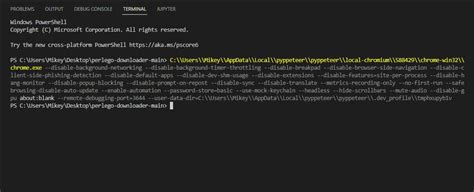 Browser Closed Unexpectedly Error · Issue 9 · Evmerperlego Downloader · Github