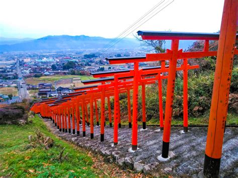 赤い鳥居が連続する浮羽稲荷神社と柿の樹の絶景 株式会社フルーム