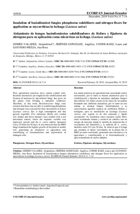 Pdf Aislamiento De Hongos Basiodiomicetos Solubilizadores De Fósforo Y Fijadores De Nitrógeno