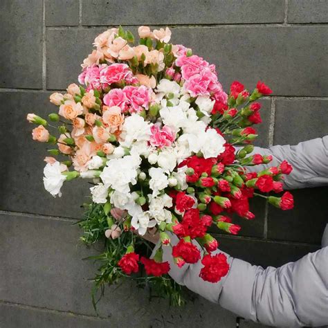 Spray Carnations Queen Victoria Market