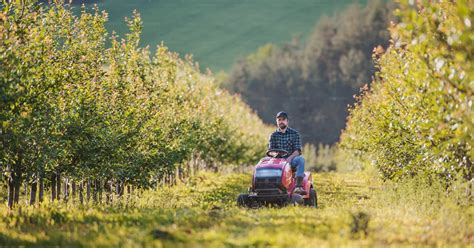 과수원에서 야외에서 미니 트랙터를 운전하는 성숙한 농부의 정면 사진 Unsplash의 나무 이미지