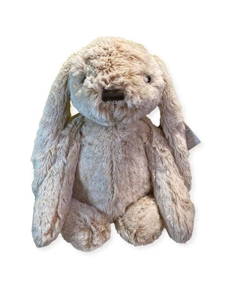 Floppy Ear Bunny Busy Beez Toy Box