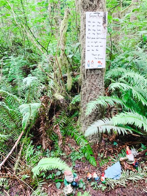 Hike On The Gnomes Trail In Maple Valley Wa Simply Otte