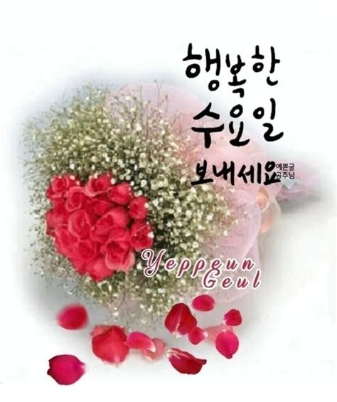행복한 수요일 보내세요 꿀팁 캐시피드