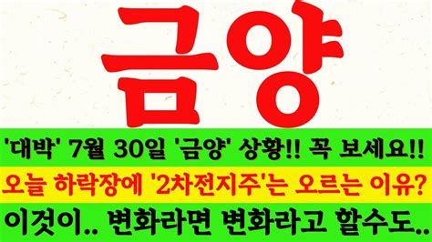 금양 대박 7월 30일 금양 상황 꼭 보세요 오늘 하락장에 2차전지주는 오르는 이유 이것이 변화라면