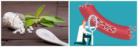 Application Of Phytosterol Esters In Dairy Products Blog