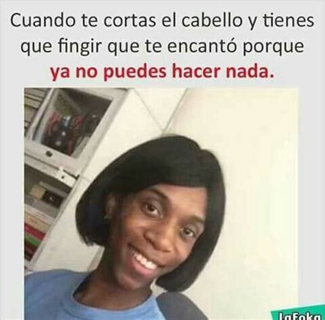Corte De Hongo Memes