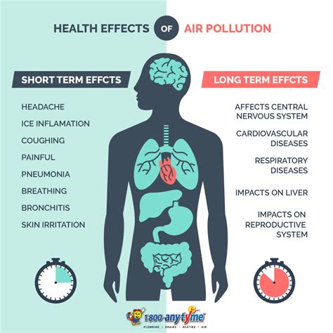How Does Air Pollution Affect The Human Health At Paige Katie Blog