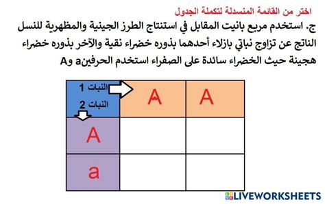مربع بانيت2 7942687 Mohamed Badr Rakha