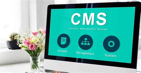 WordPress Vs Other CMS Platforms Choosing The Right Solution Shabinas