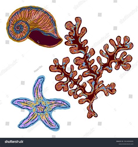 Shell Stylized Technique Marine World Shell Stock Vector Royalty Free 2614694695 Shutterstock