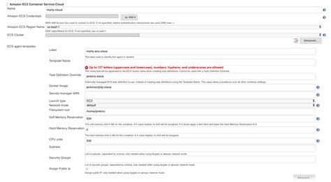 Jenkins Docker Ec2 Plugin Parallel Jobs Stack Overflow