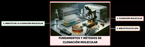 Fundamentos Y Métodos De Clonación Molecular Algor Cards