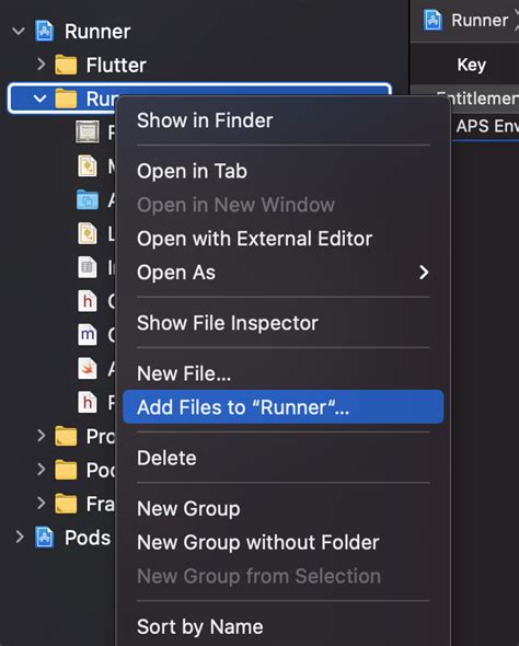 Push Notification Setup Initappz Documentation