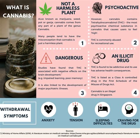 Harmful Effects Of Smoking Weed