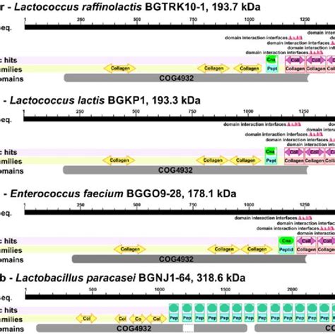 Comparative In Silico Analysis Of Agglr With Other Aggregation Factors Download Scientific