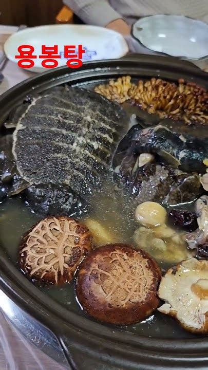 용봉탕자라탕몸보신 Youtube