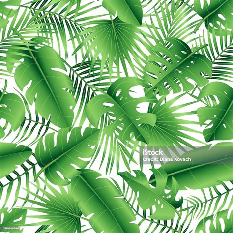 다른 열대 야자수 잎 정글 Monstera 바나나 잎의 매끄러운 패턴 녹색 식물의 이국적인 컬렉션입니다 인사말 카드 벽지 포장지 직물에 대한 식물 벡터 그림 가을 단풍에