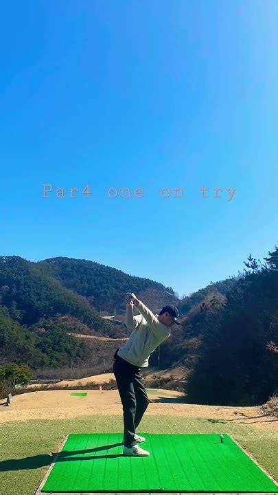 드라이버원온파4구력4년독학백돌이 Youtube