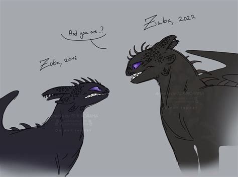Finally Updated My First Ever Httyd Oc Reference Sheet Other Sketches R Httyd