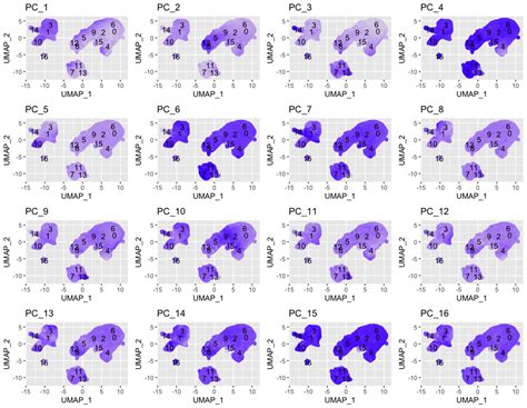 Single Cell Rna Seq Clustering Analysis Introduction To Single Cell
