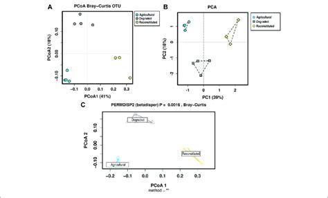 Multivariate Analyses For The Bacterial Communities Sequencing Data Download Scientific