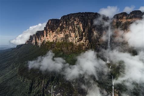 A Biologist And An Elite Climber Team Up To Hunt For New Species In The