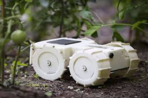 A Robotic Garden Weeder From The Roomba Inventor Digital Trends Robot Digital Trends Weeder