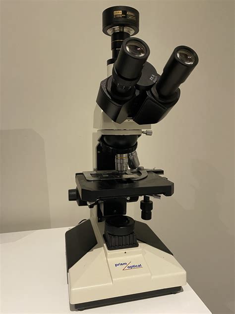 Specialised Services And Testing Holistic Health